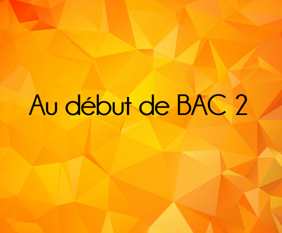 BAC 2 :: sitebac2